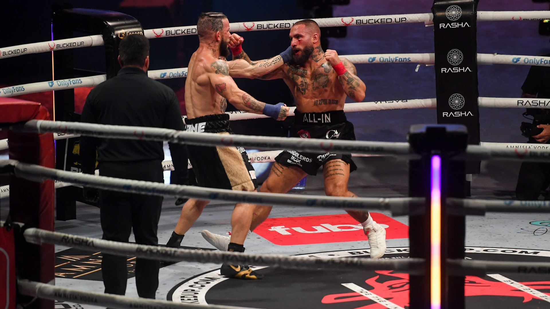 BKFC's Rising Popularity Among Fighters and Fans Explained