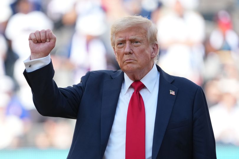 New 20-mile 'Trump Bridge' to be built in territory close to Russia's ...