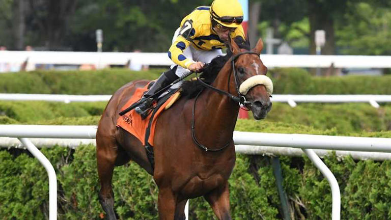 Red-hot Clement sends out Far Bridge for Sword Dancer repeat