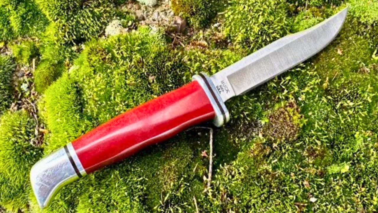 10 fixed blades hunters actually depend on