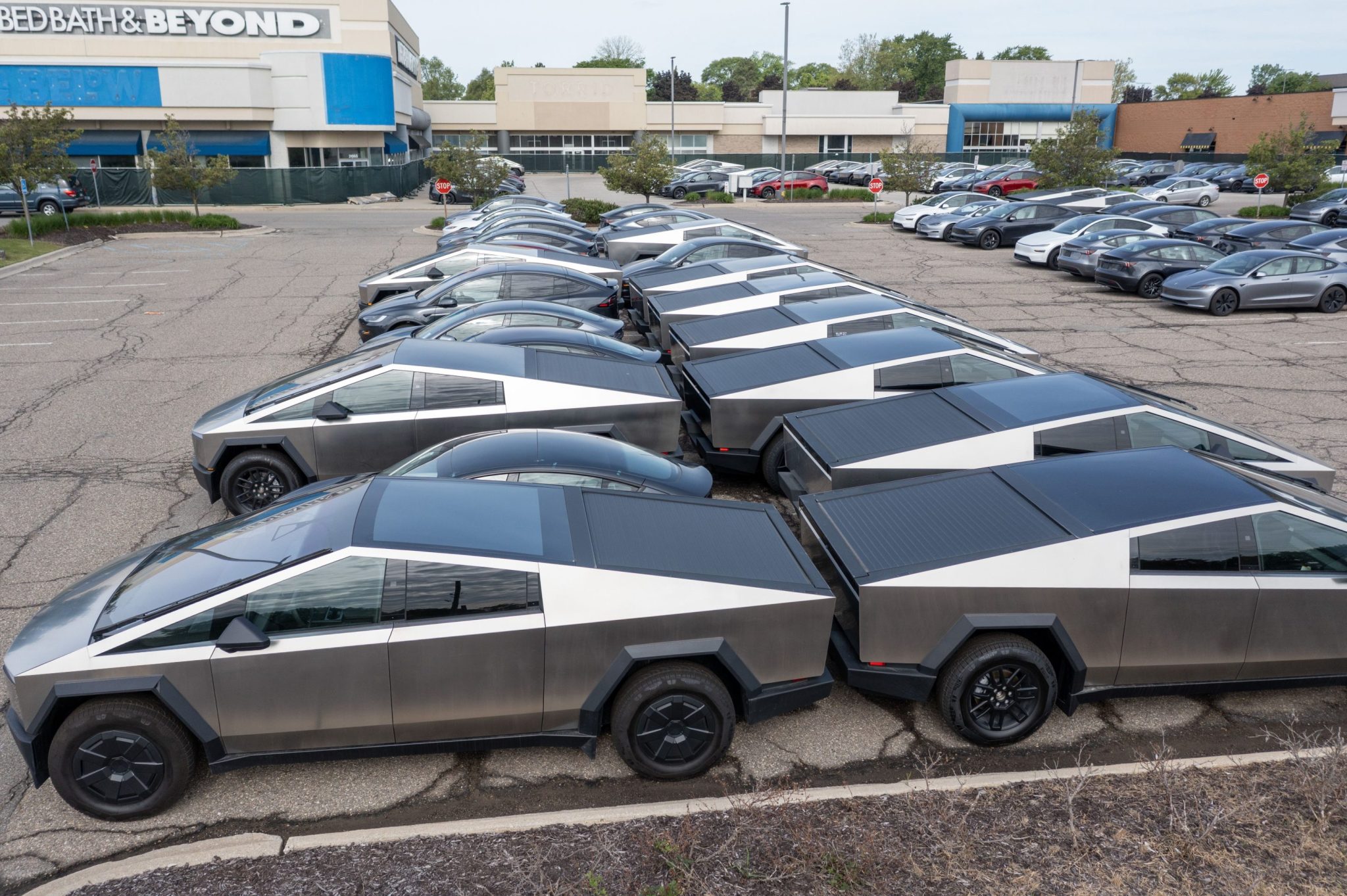 The U.S. military is looking to buy Tesla Cybertrucks to use as missile ...