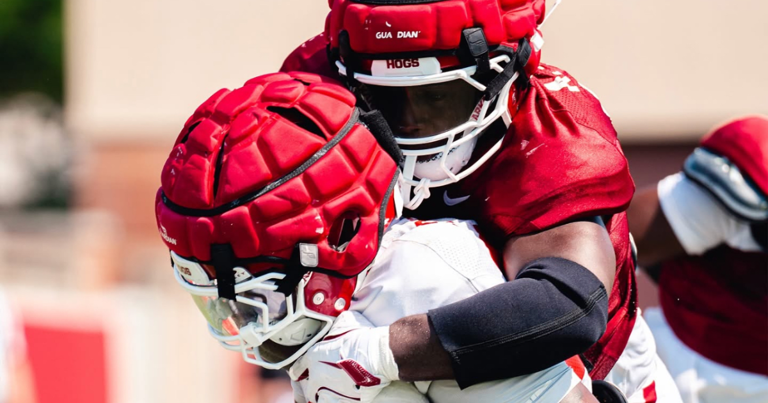 WATCH: Arkansas Razorbacks Fall Camp, Practice 7