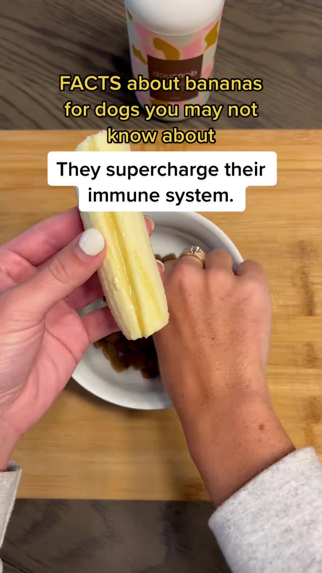 Why You Should Give Your Dog Bananas