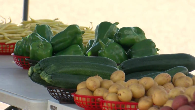 Georgia launches online map to find locally grown produce