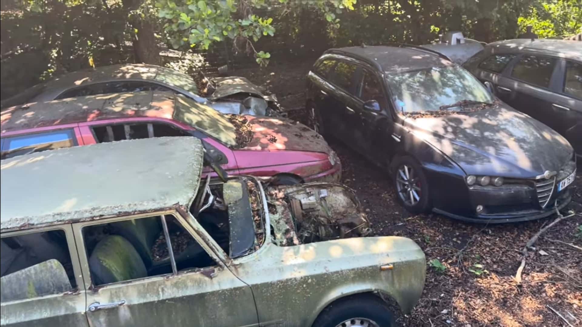 This Abandoned Alfa Romeo Dealer Hides a Treasure Trove of Iconic Cars