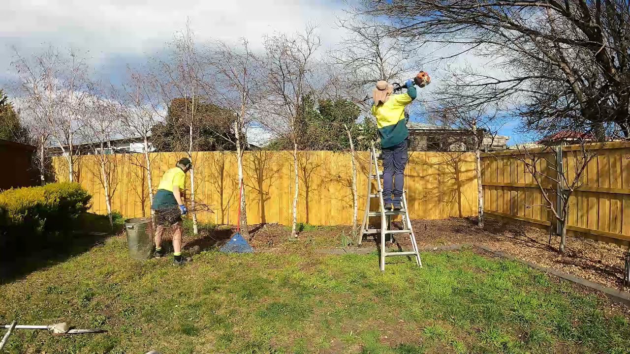 Enjoy the magic of yard transformation!