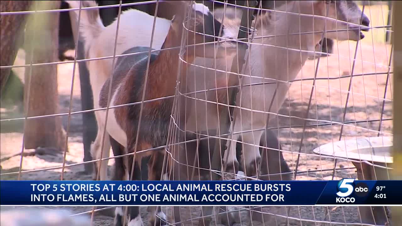 Oklahoma animal rescue sent scrambling by nearby fire