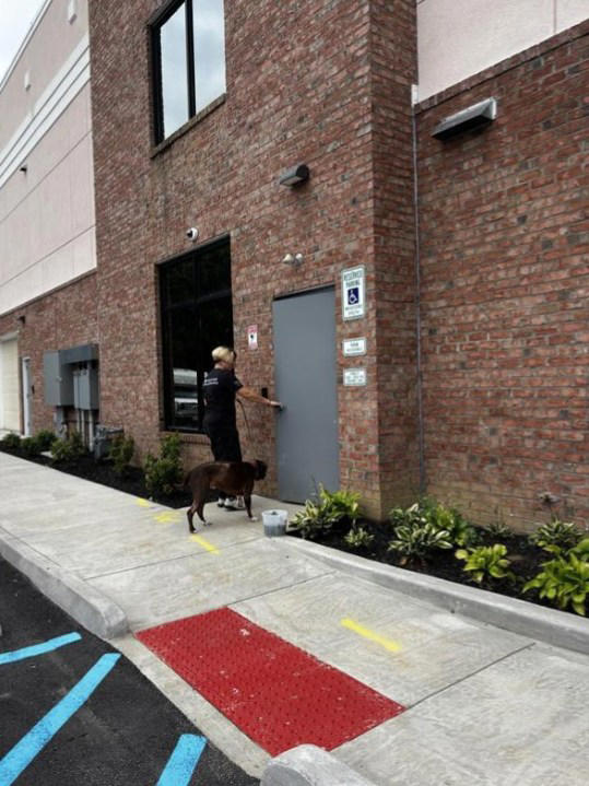 Angels of Assisi opens new home for furry friends in Roanoke