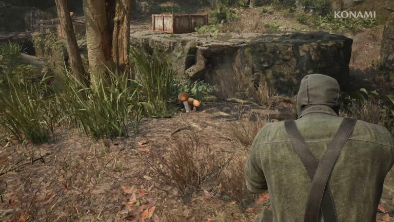Fox Hunt's release date is not the same as Metal Gear Solid Delta ...