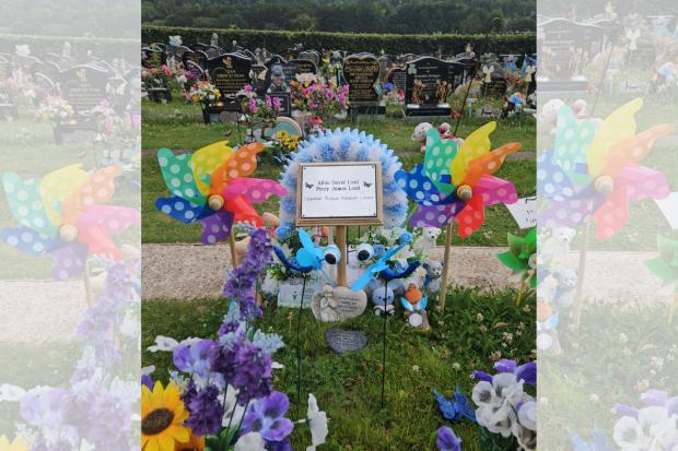 Families 'utterly heartbroken' after council orders removal of ...