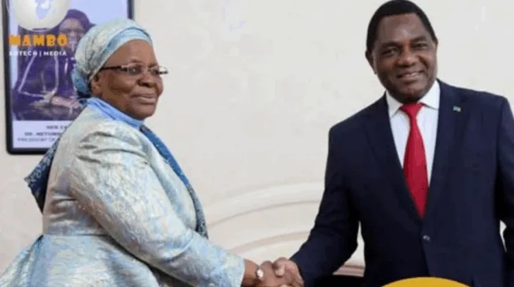 Namibia, Zambia Set To Introduce Passport-Free Travel Using National ID ...