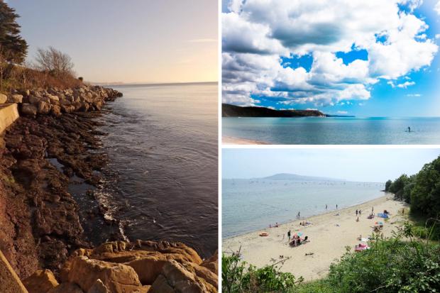 These are the best swimming spots in the Weymouth area