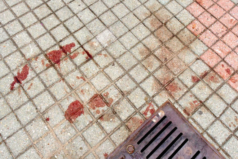 Vicious NYC killing of 14-year-old Angel Mendoza is so heinous that ‘Raise the Age’ won’t apply ...