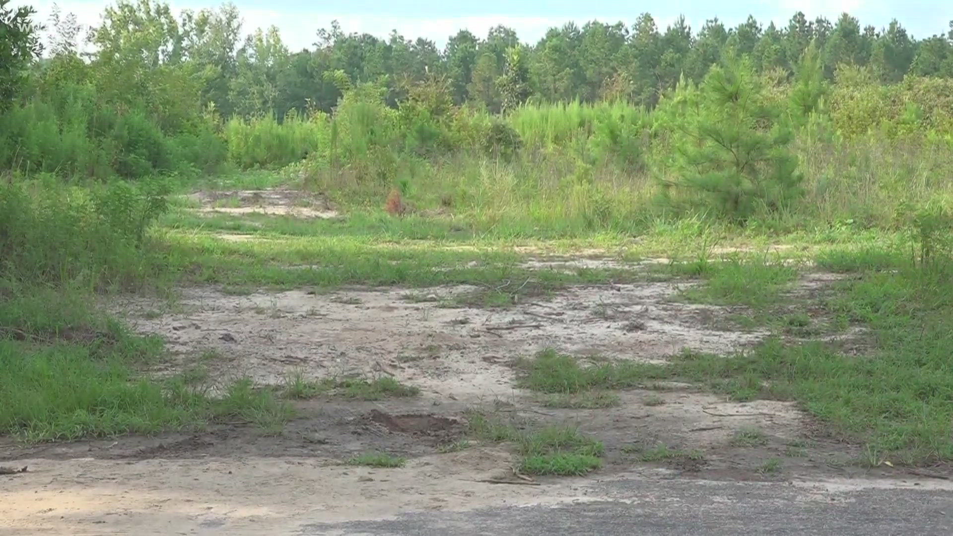 Bodies found along Sumter County road, officials say