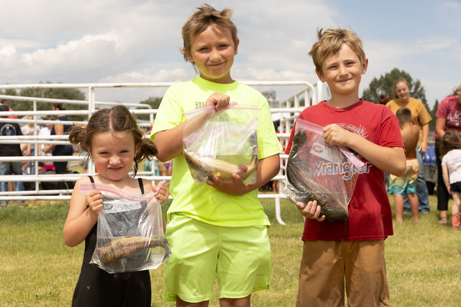 It’s as easy as grabbing fish with your bare hands, an old tradition ...