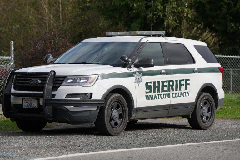 Whatcom County law enforcement employs helicopter to track arson suspect