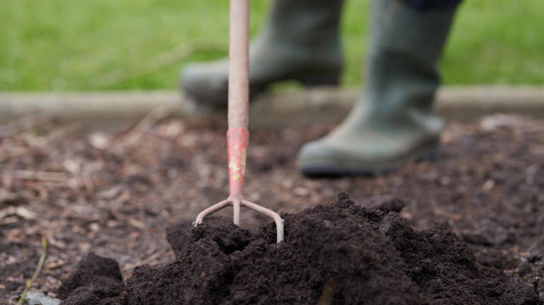 What's Really In Your Topsoil (And Why Your Garden Cares)