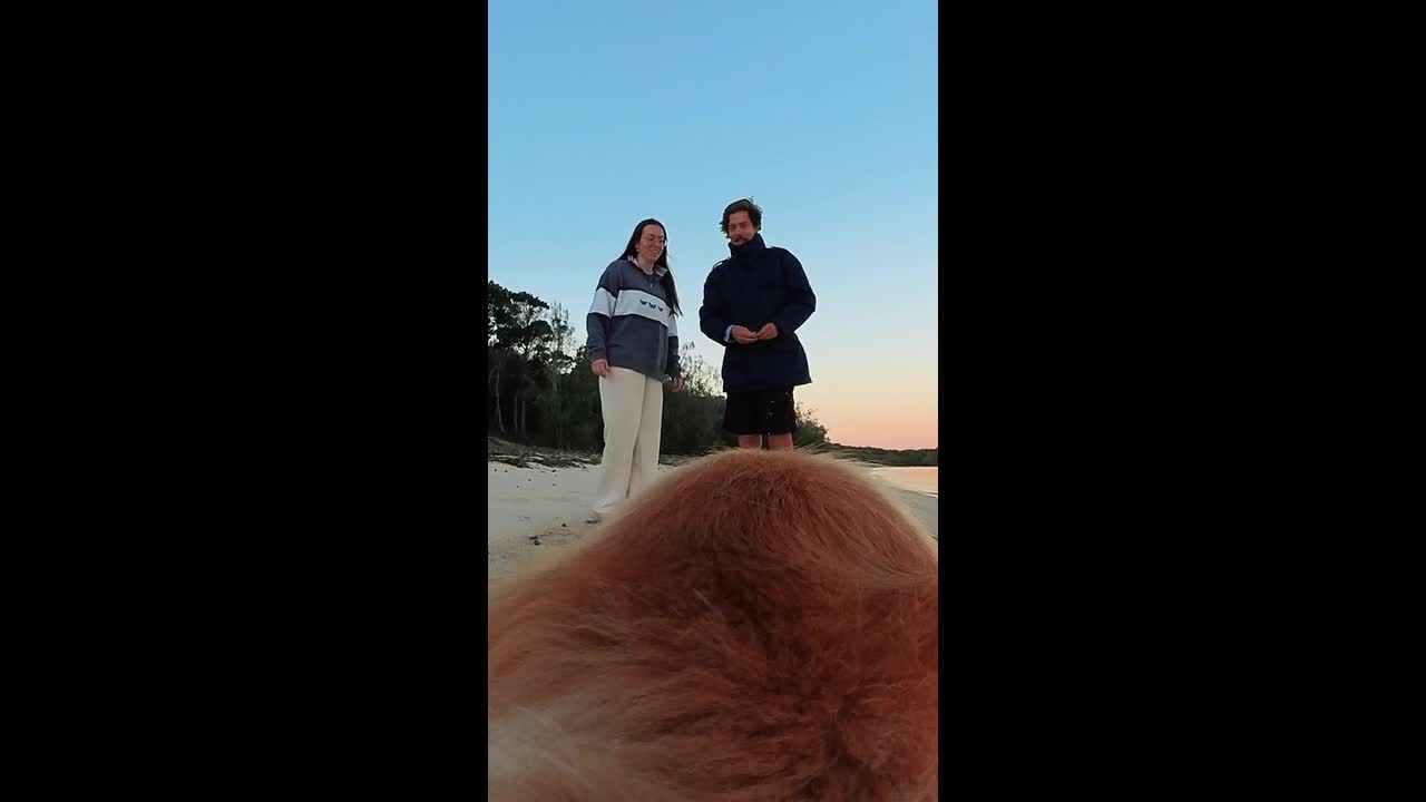 Golden retriever’s GoPro captures sunset boat proposal in heartwarming ...