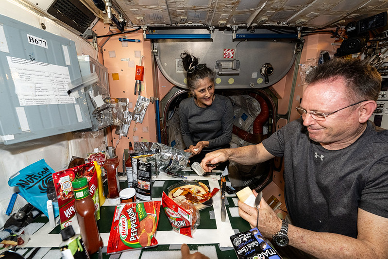 17 Weird Things Humans Have Launched Into Space