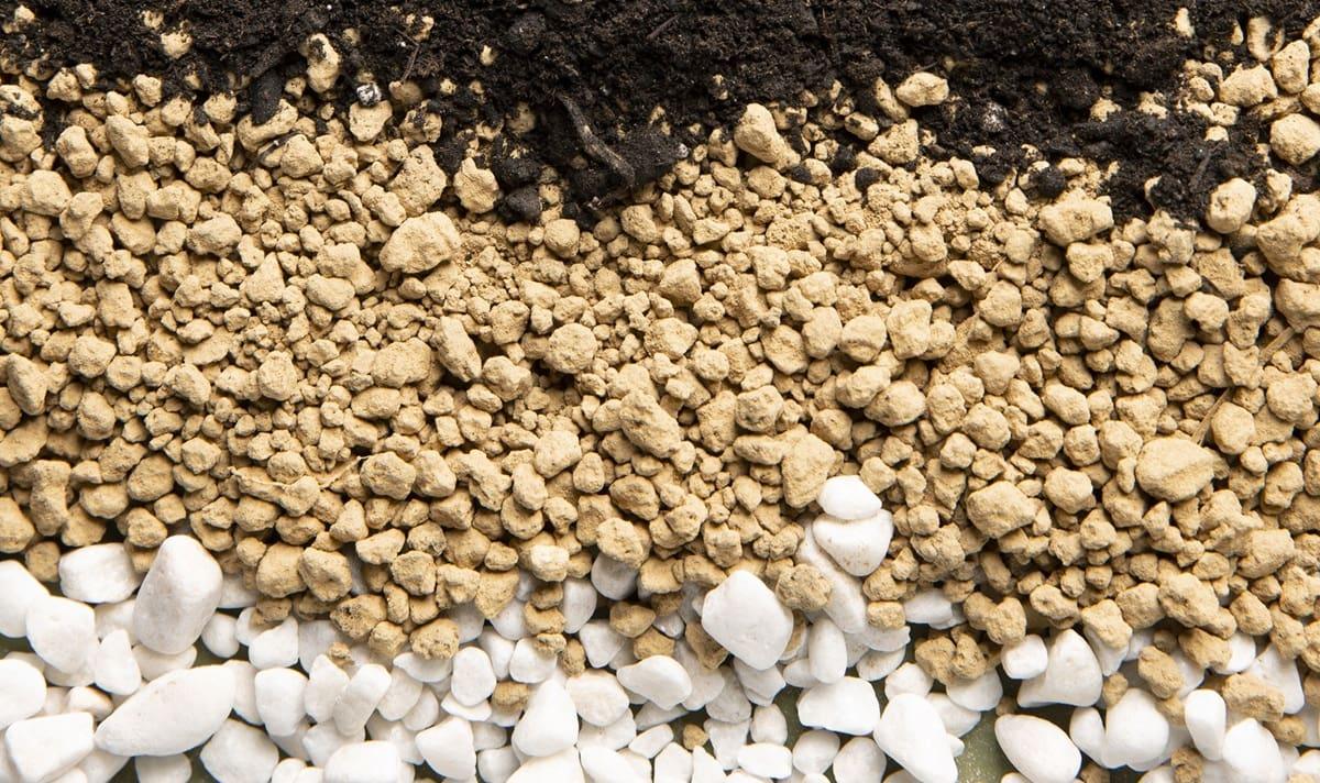 Diferencias entre perlita y vermiculita: guía práctica en jardinería