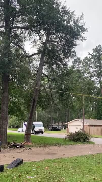 Tree Falls on Moving Car During Storm