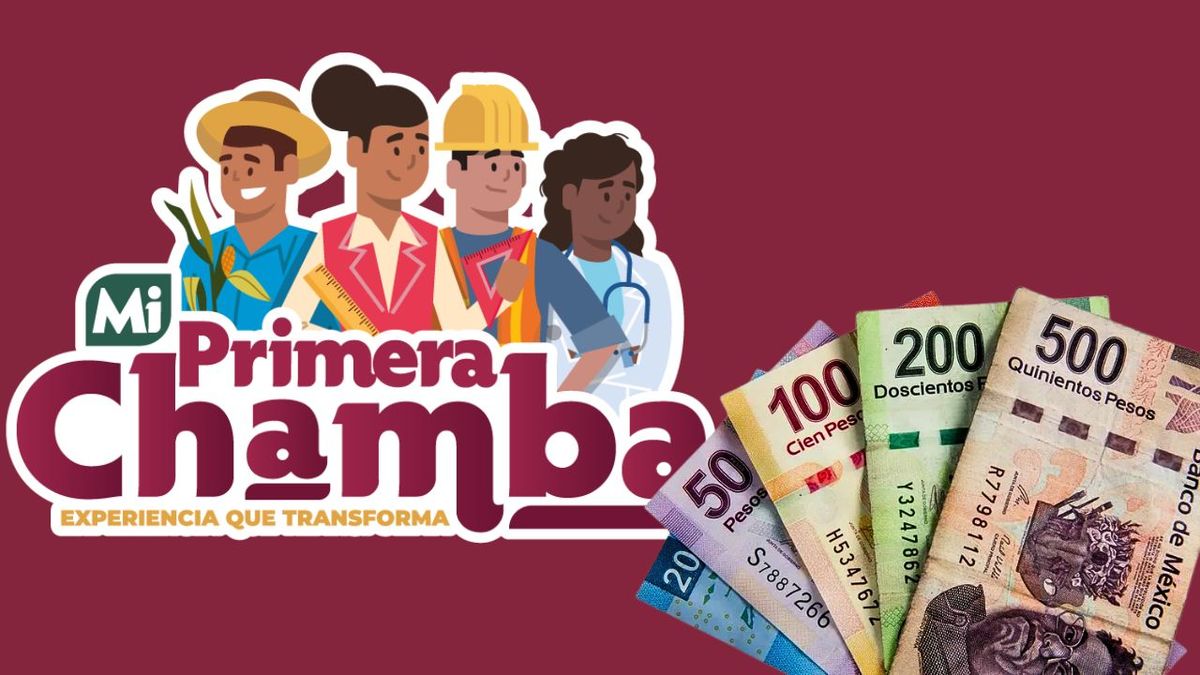 Ojo: Así puedes recibir más de 8 mil pesos al mes con el programa Mi ...
