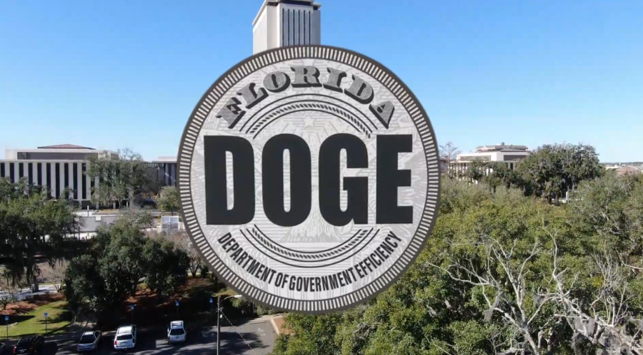 St. Pete residents protest Florida DOGE on first day of audit