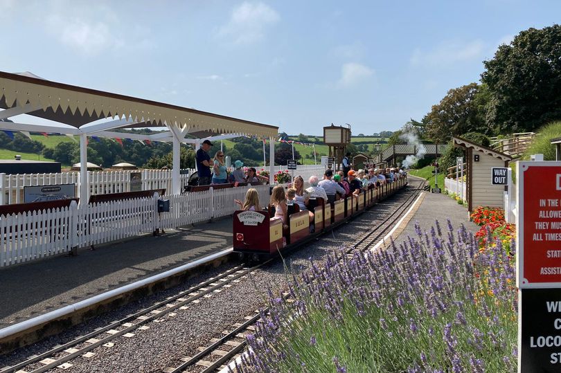 Stunning Devon family day out is a paradise for railway enthusiasts