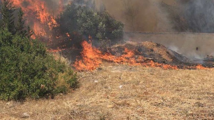 Φωτιά στην Ηλεία: Βελτιωμένη η εικόνα σε Αρχαία Ολυμπία, Χελιδόνι και ...
