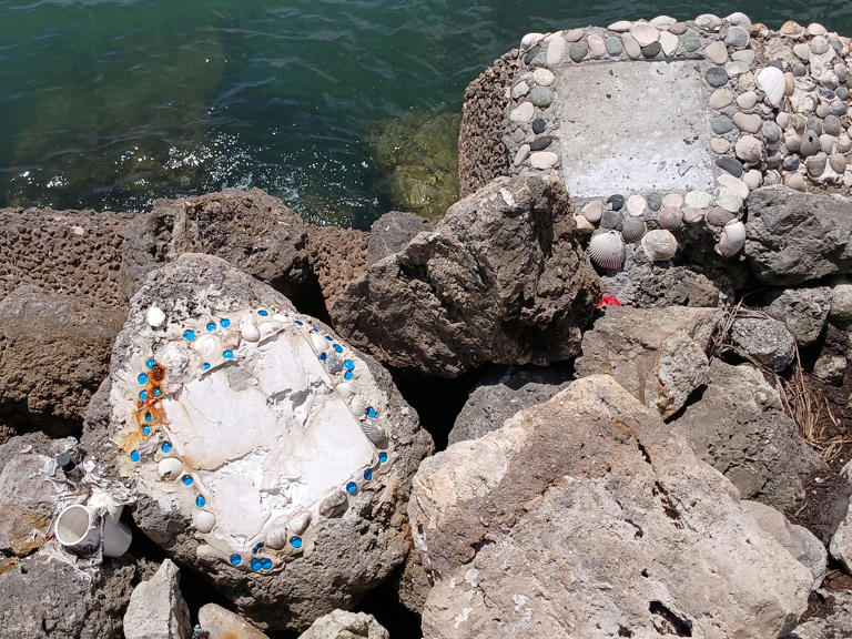 Here's how TCPalm's local journalism impacted communities in 2025