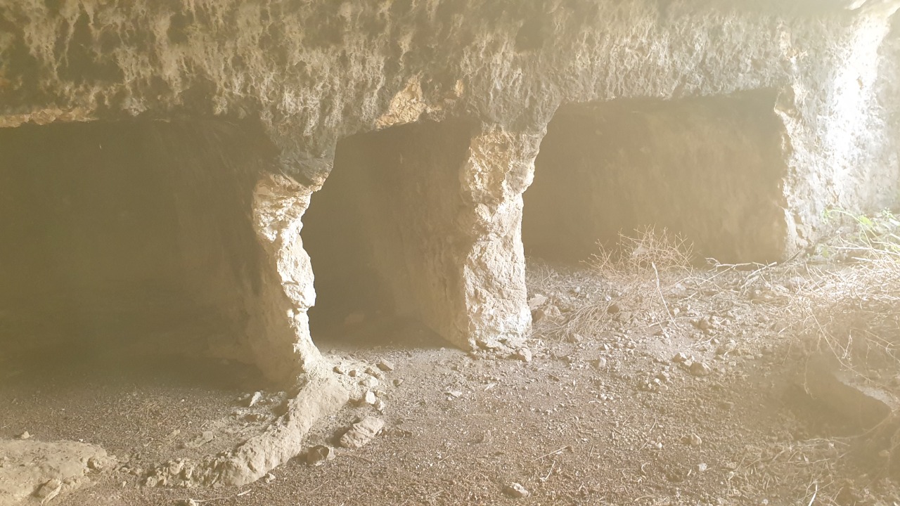 Archaeologists unearthed human remains in 100,000-year-old Israeli cave ...