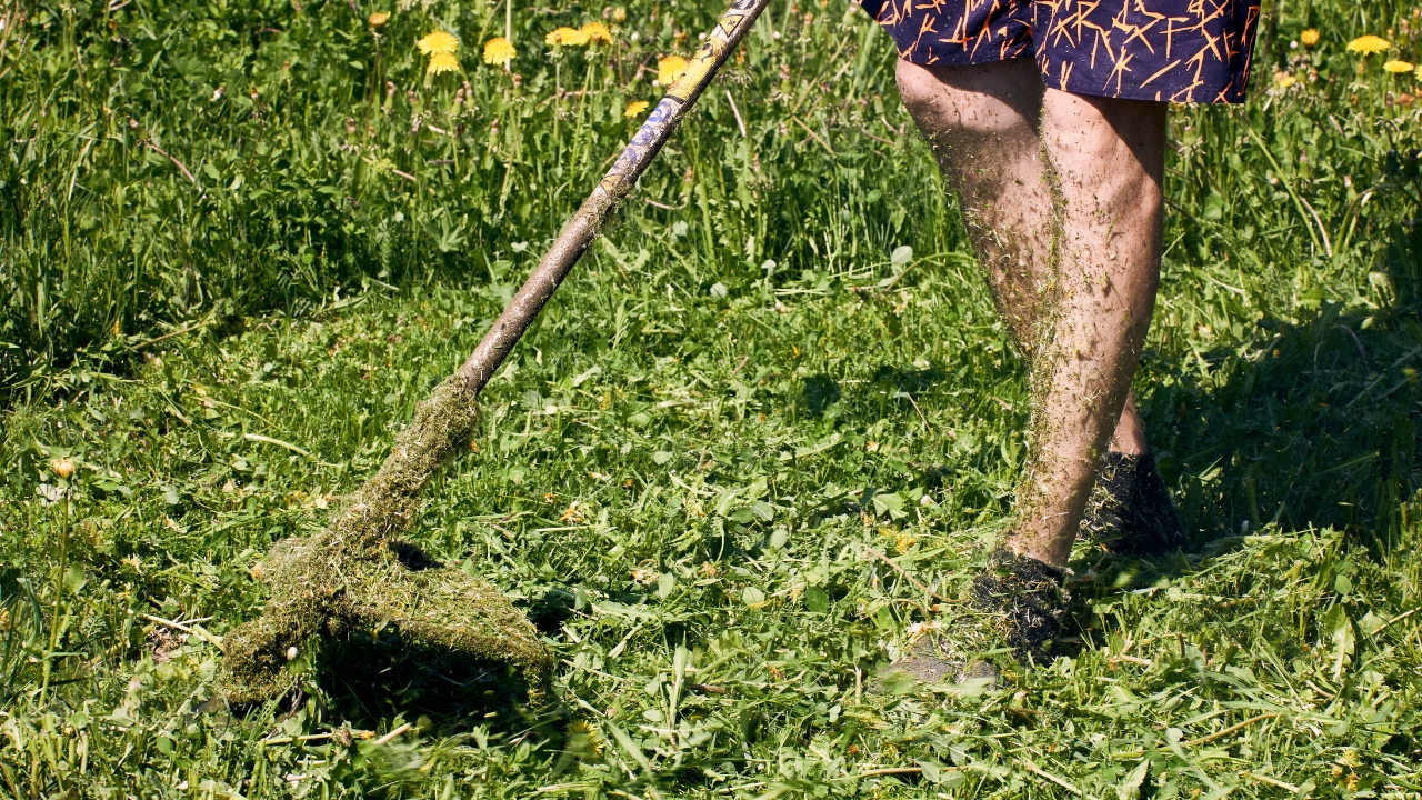 10 Things You’ll Only Do Once With a Weed Eater