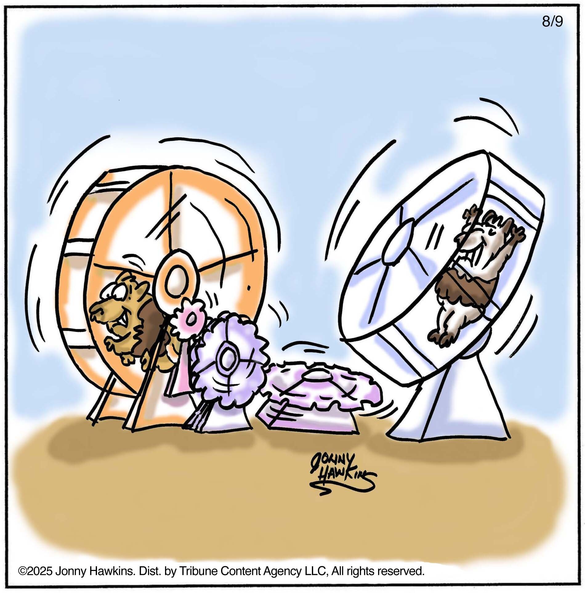 Zoolies by Jonny Hawkins