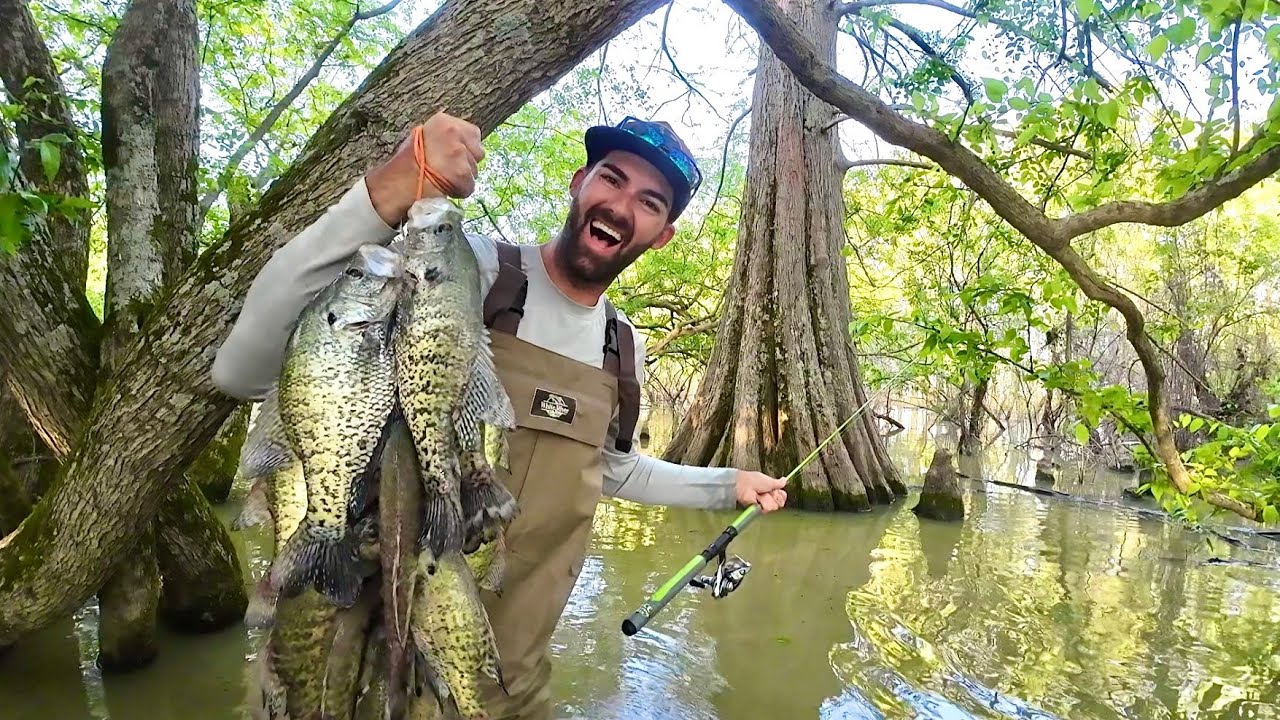 Flooded woods loaded with springtime slab crappie