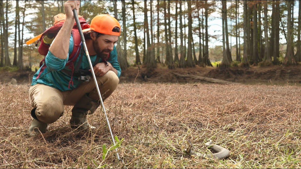 Deadly swamp creatures found in dry lake bed