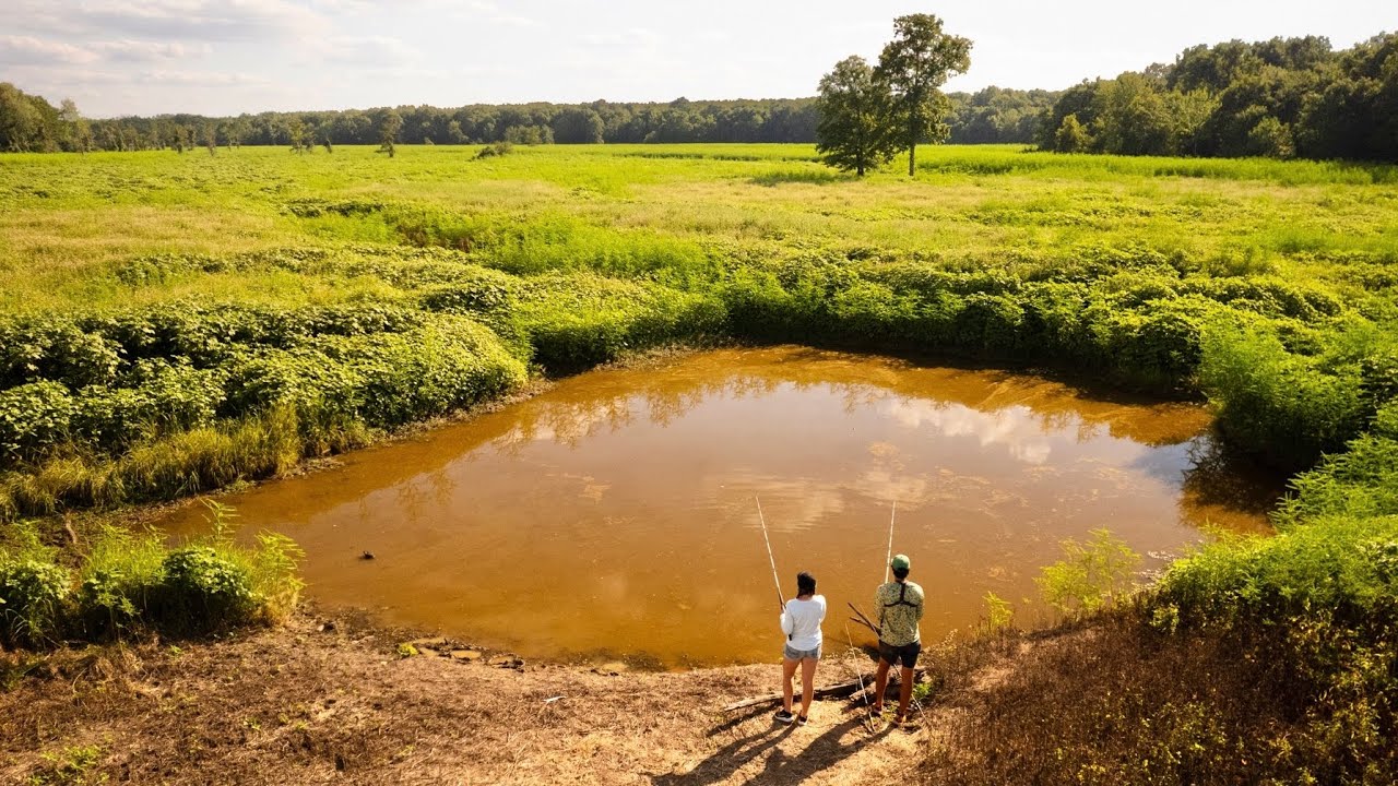 Ancient beasts lurk in mud puddle for Jurassic fishing fun