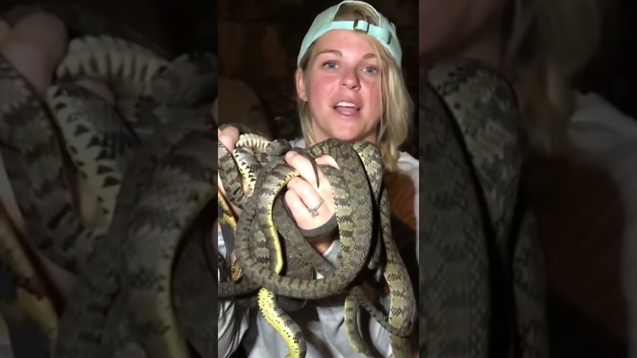 Woman holds 13 wild snakes while out fishing with husband