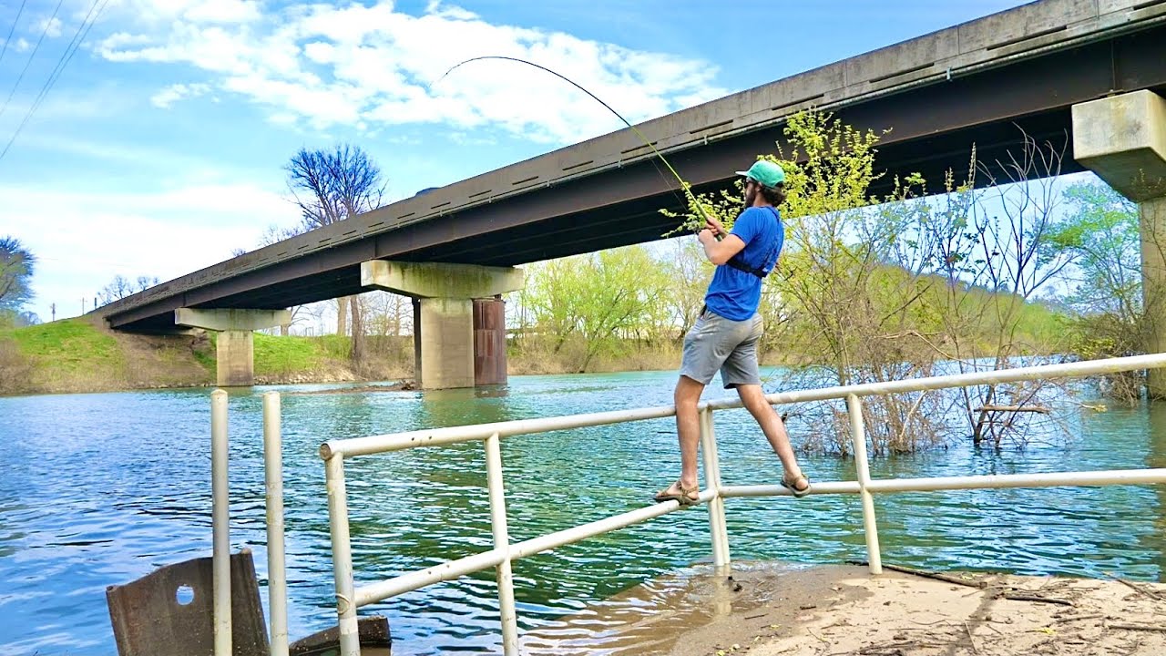 Underwater pipe reveals giant fish surprise