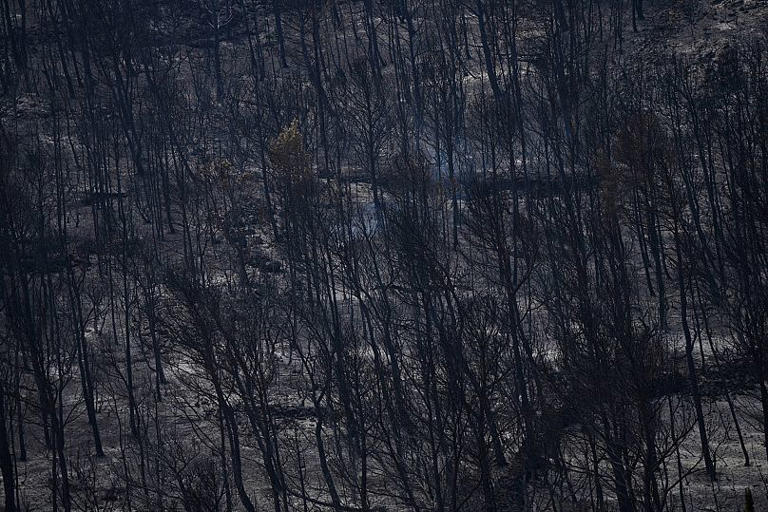 Wildfires rage across southern Europe amid record temperatures