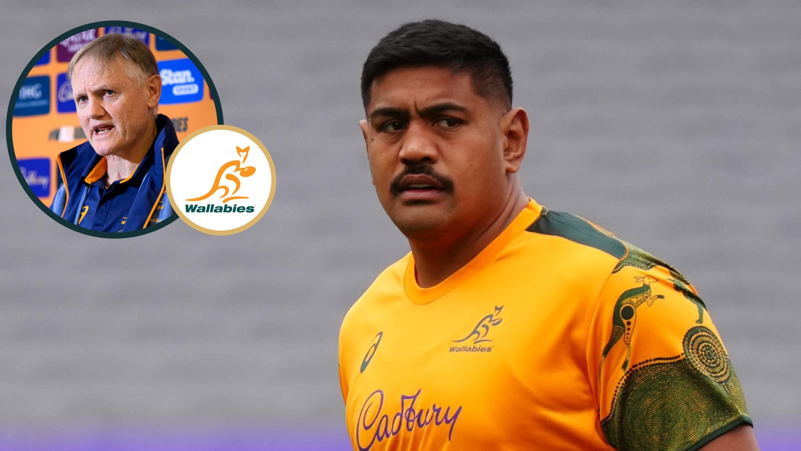 Joe Schmidt issues MAJOR update on powerhouse trio ahead of Springboks ...