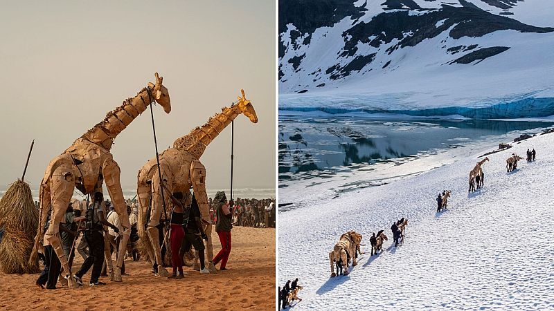 The Herds: Life-sized animal puppets complete epic 20,000km climate ...