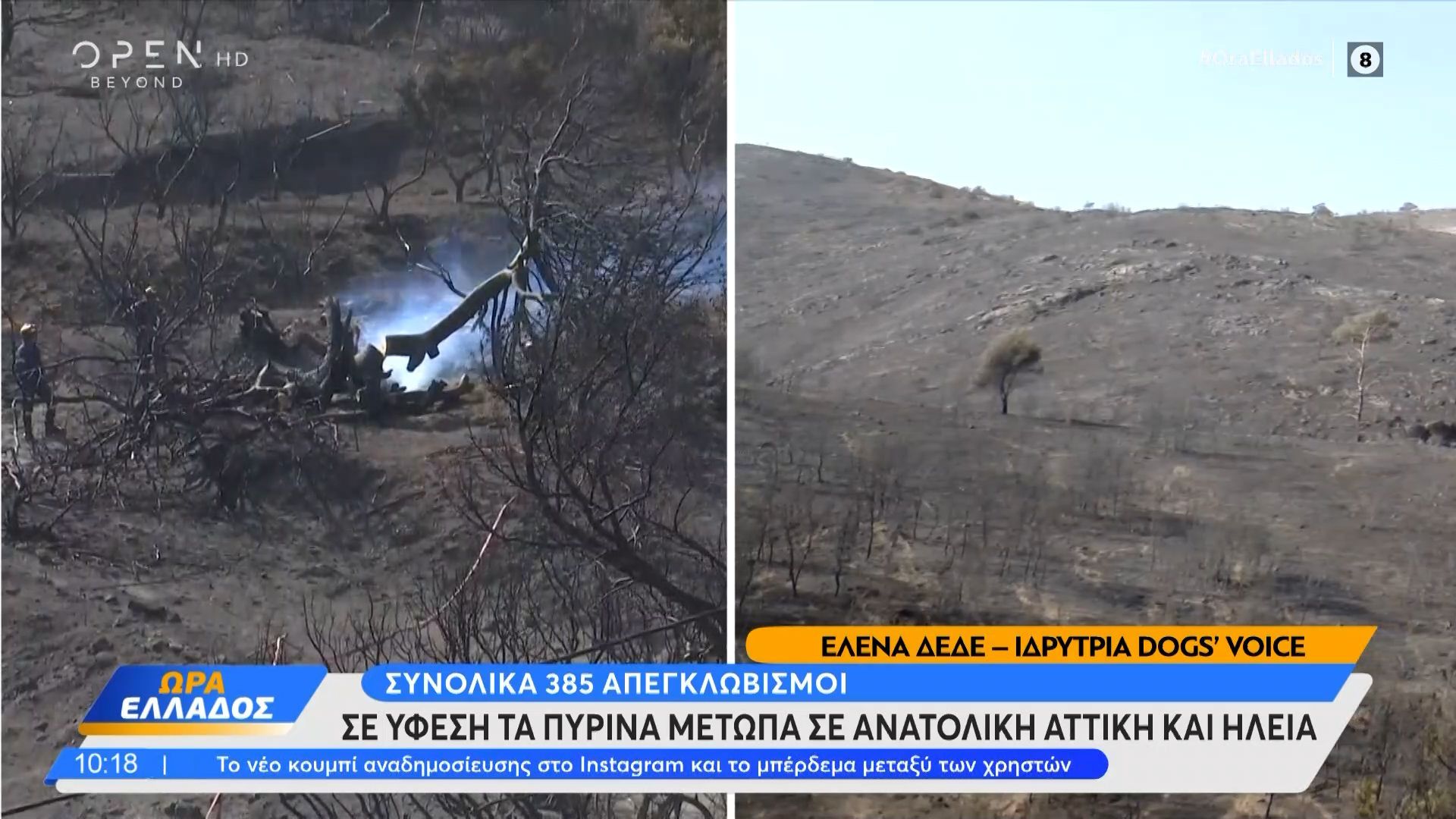 Απεγκλωβισμοί ζώων από τις φωτιές