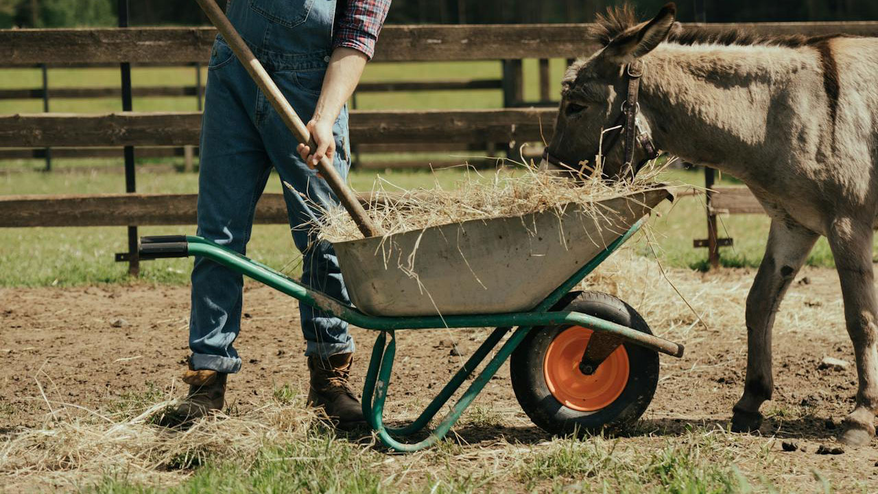 11 Reasons Living in the Country Isn’t for the Faint of Heart