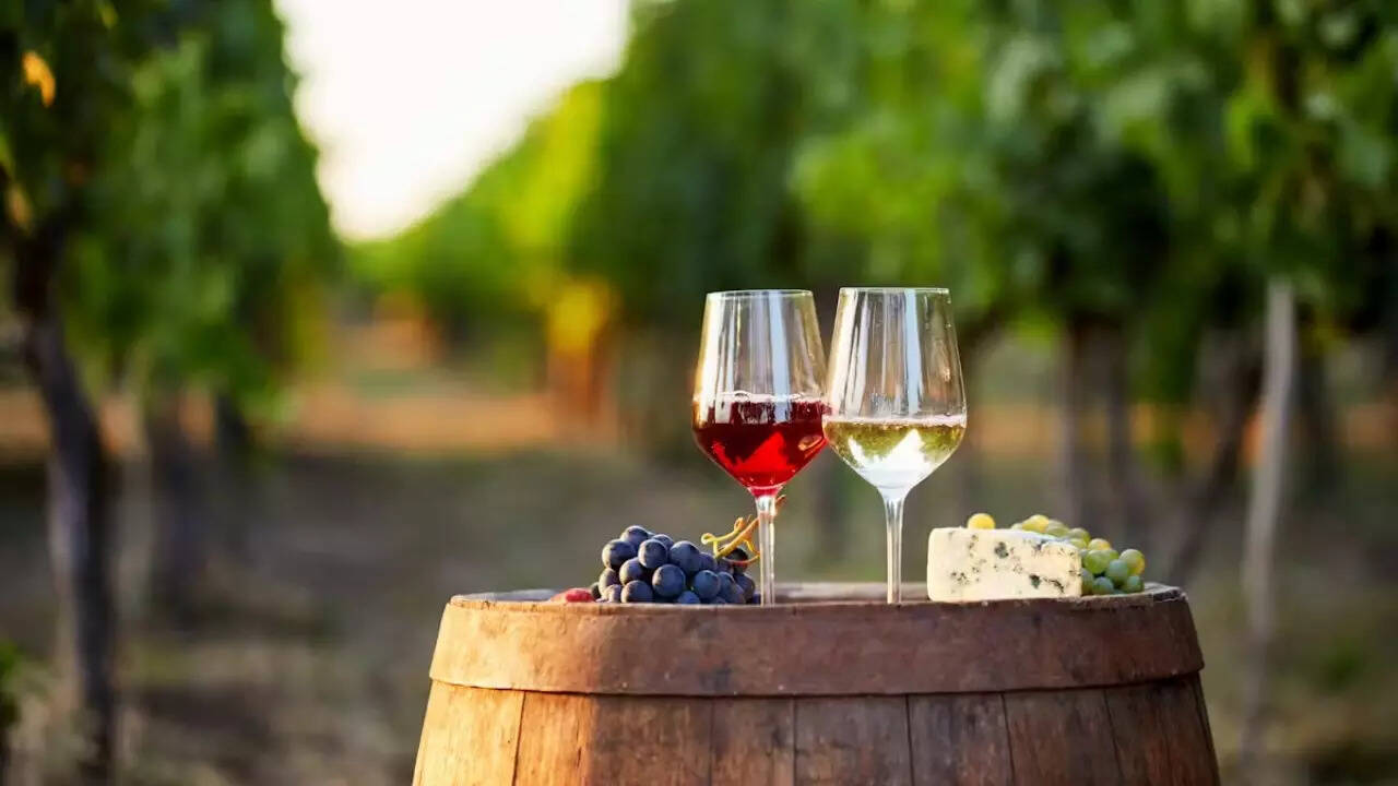 Red wine vs white wine: Which one is better and healthier (key ...
