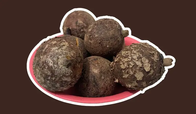 Cultivo, cuidados y propiedades del mamey: Guía completa y beneficios