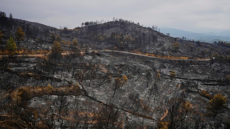 Wildfires rage across southern Europe amid record temperatures