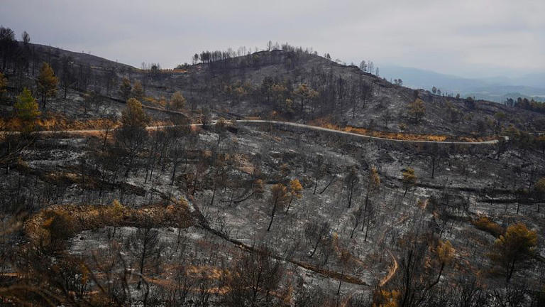 Wildfires rage across southern Europe amid record temperatures