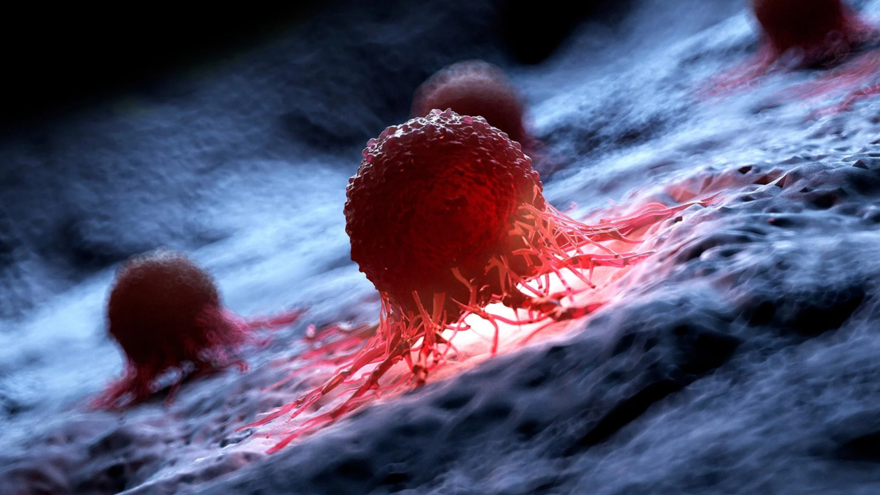 Cancer Cells Self-Destruct – Thanks to This Deep-Sea Sugar