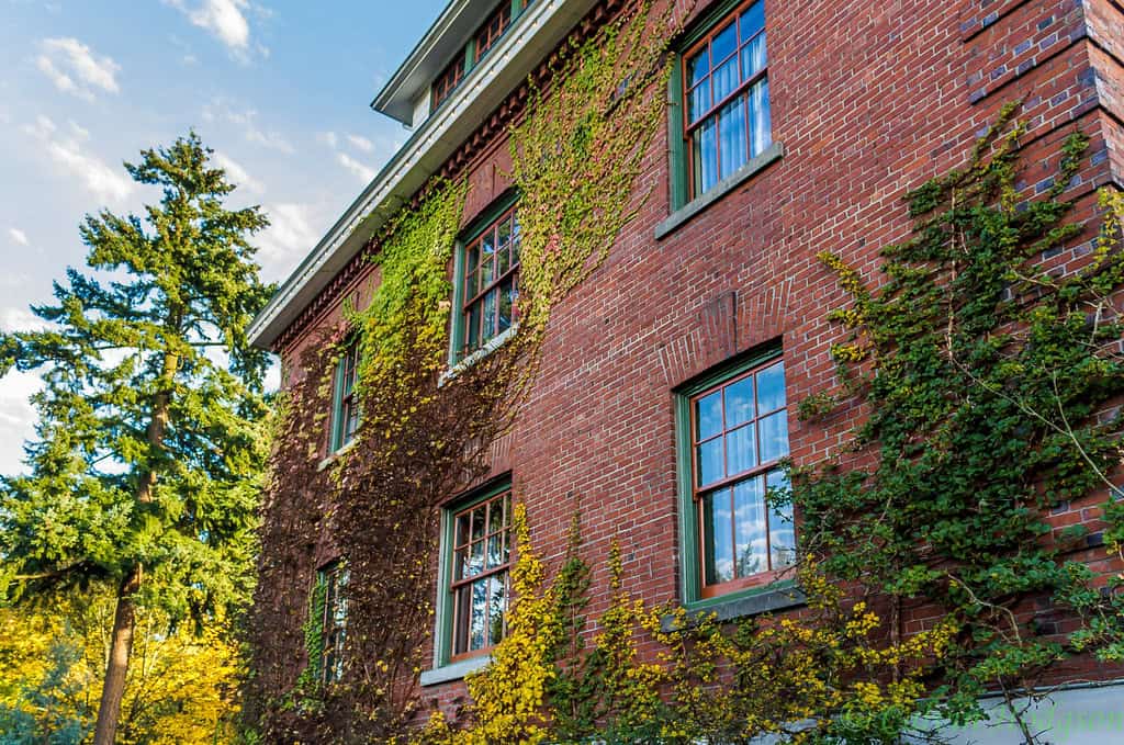 The McMenamins Brand: A Tour of Their Most Unbelievable & Historic PNW ...