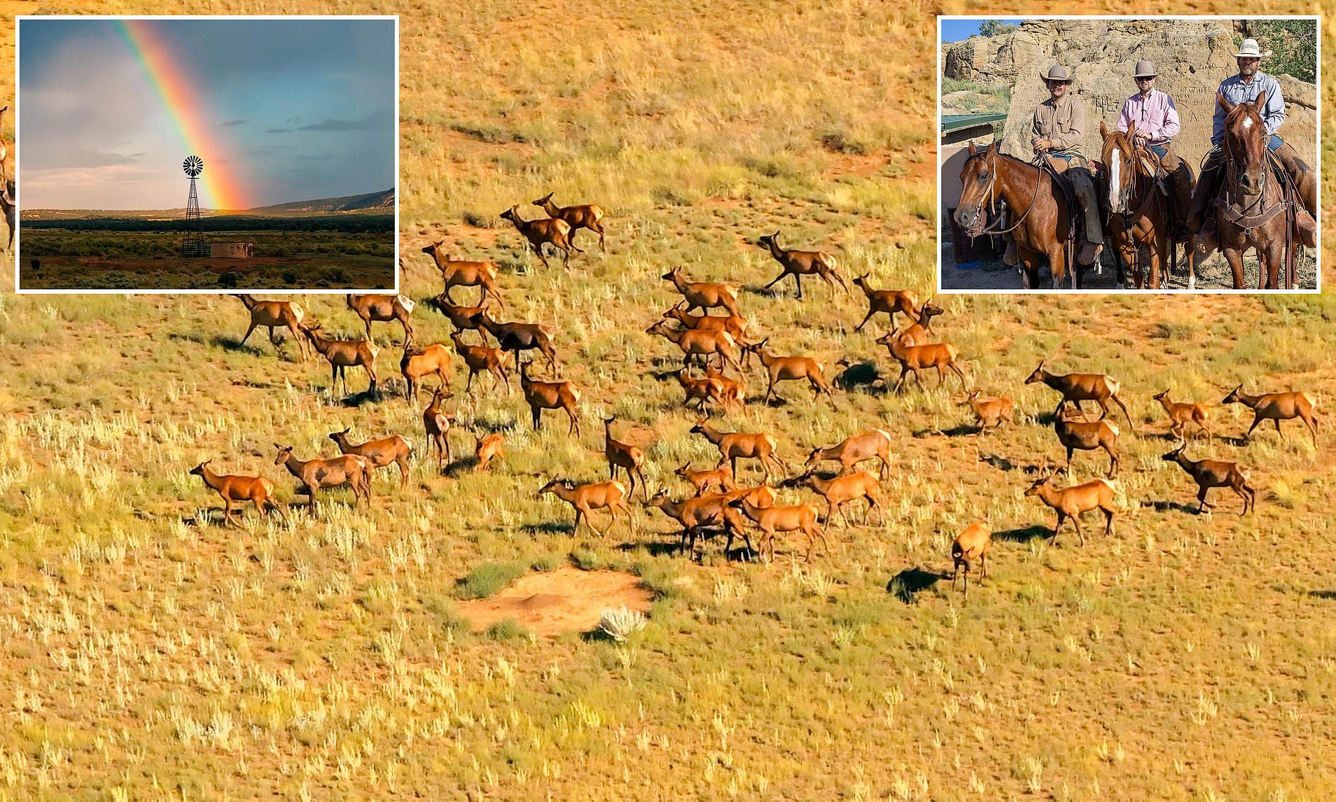 America's largest ranch that is almost as big as Rhode Island sells ...